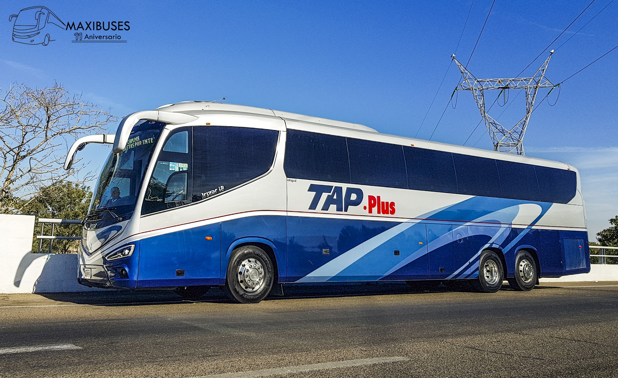 MAXIBUSES: TRANSPORTES Y AUTOBUSES DEL PACÍFICO, PLUS (TAP)