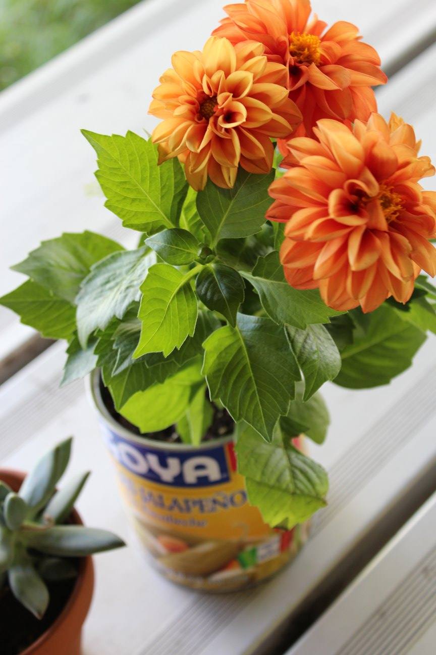 Fiesta: Easy Centerpiece Ideas | Shipwrecked on Fabulous Island