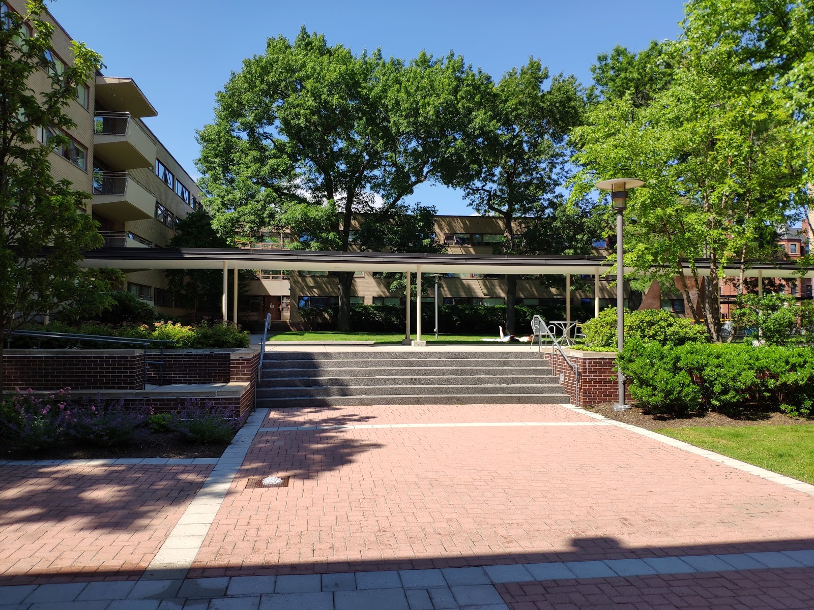 EntreVoir: Harvard Graduate Center - Walter Gropius