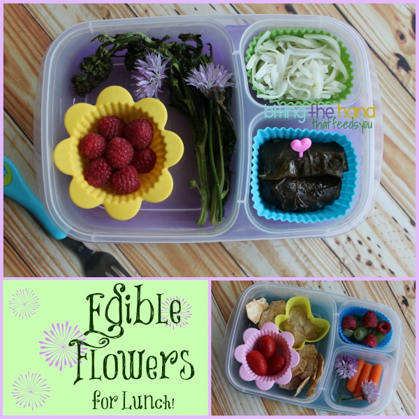 Biting The Hand That Feeds You: Edible Flowers for Lunch