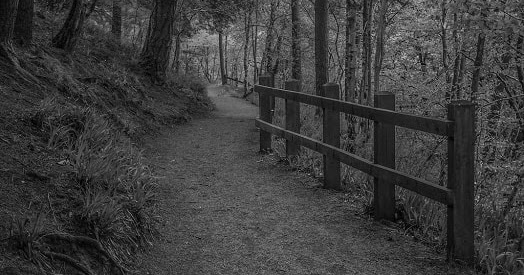 Short Story: Dead Men's Path by Chinua Achebe ~ DNB Stories