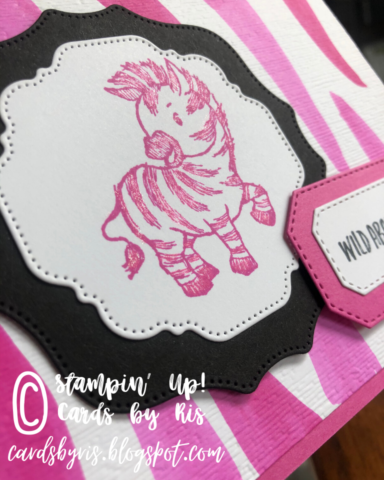 The One with the Zany Zebra