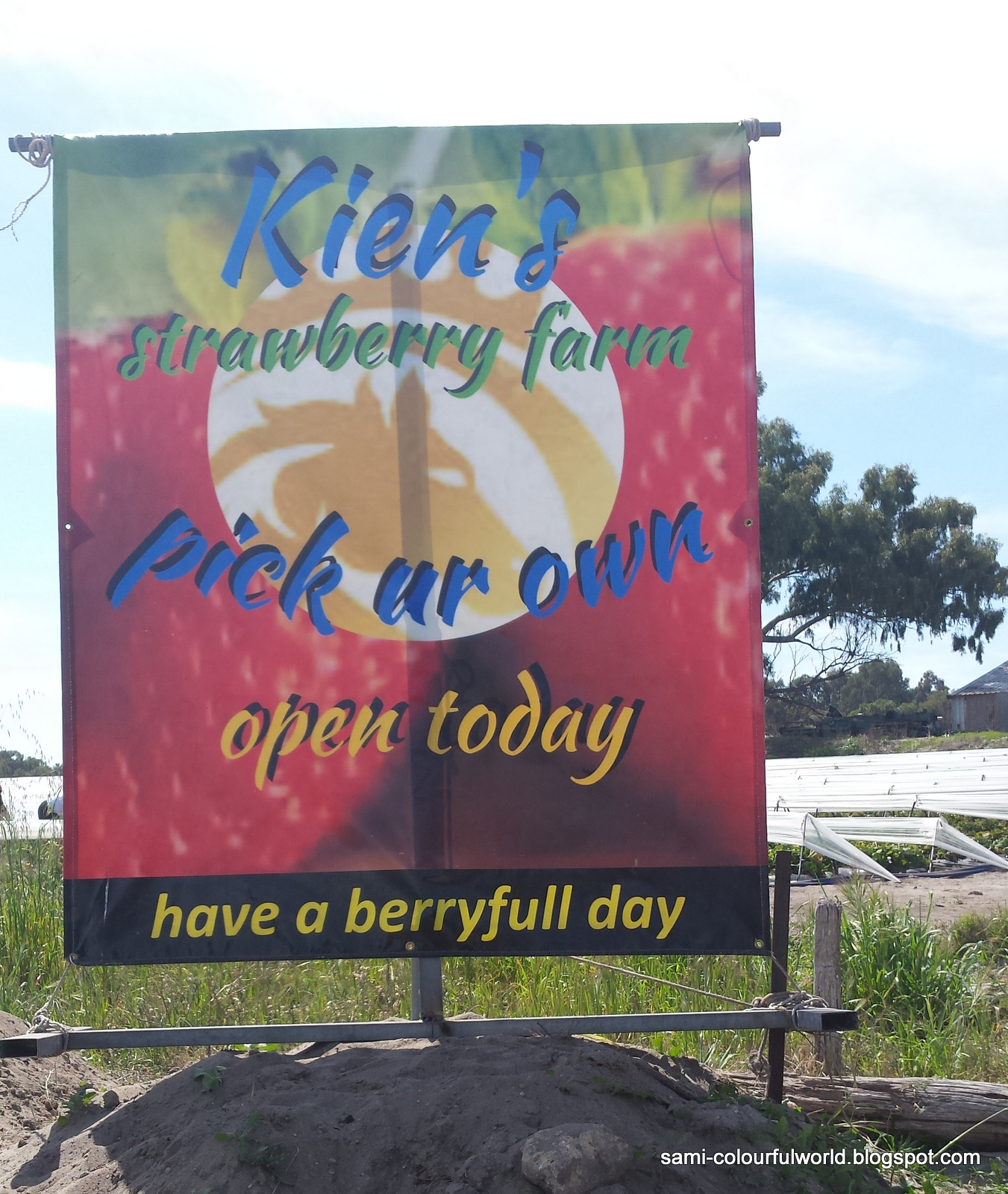COLOURFULWORLD: Signs - Strawberry picking