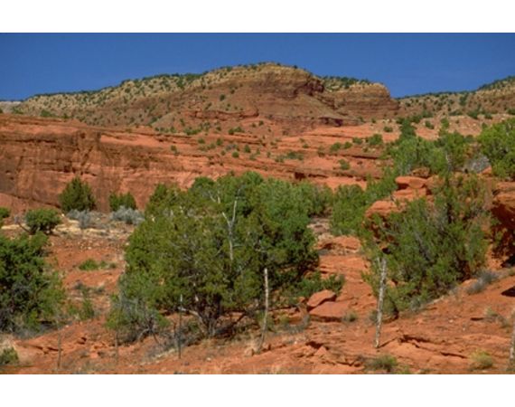 Fresh Manna: What are you doing here? Part 2