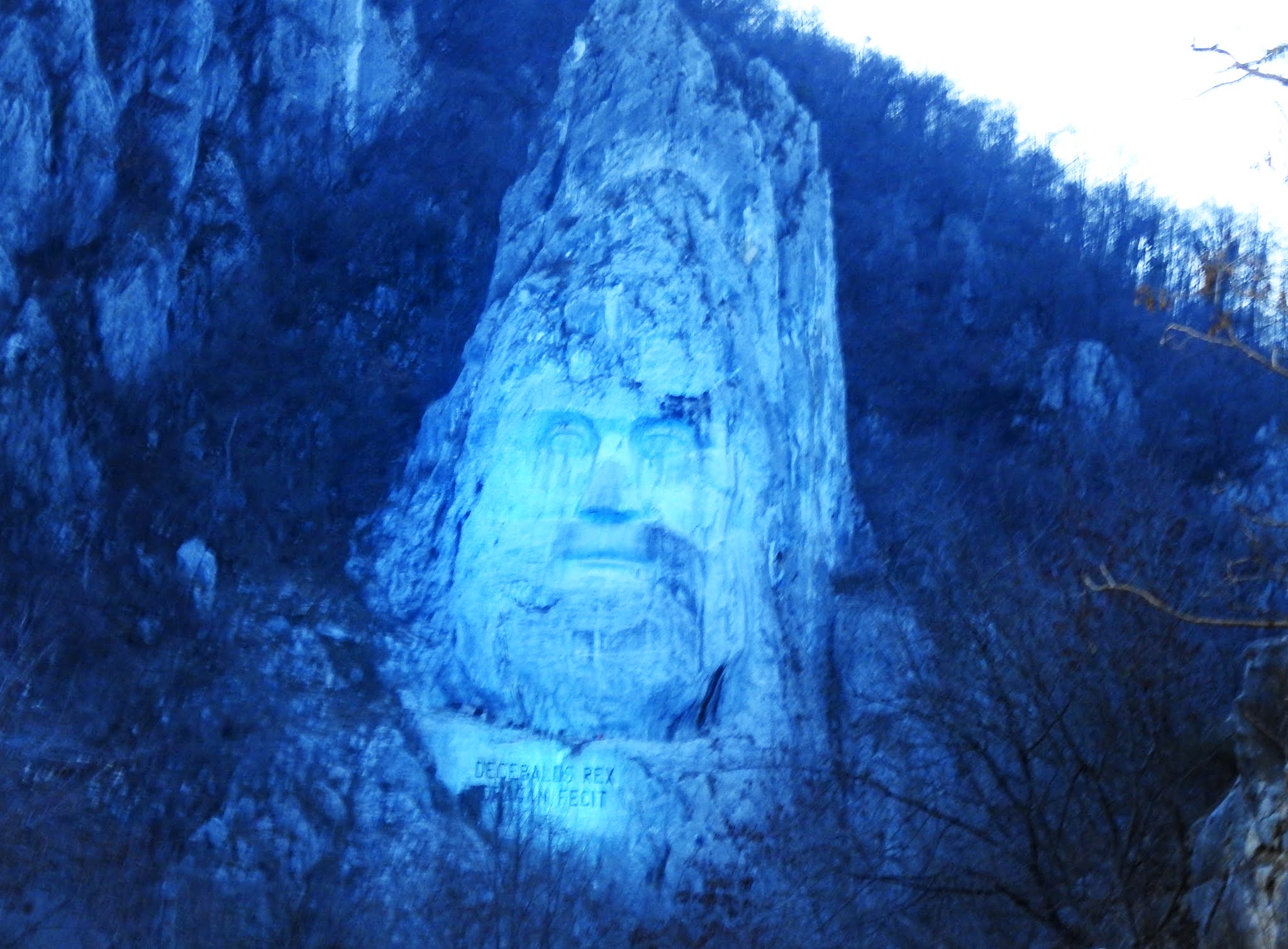 PASARI DIN ROMANIA: ACVILA DE MUNTE, Aquila chrysaetos