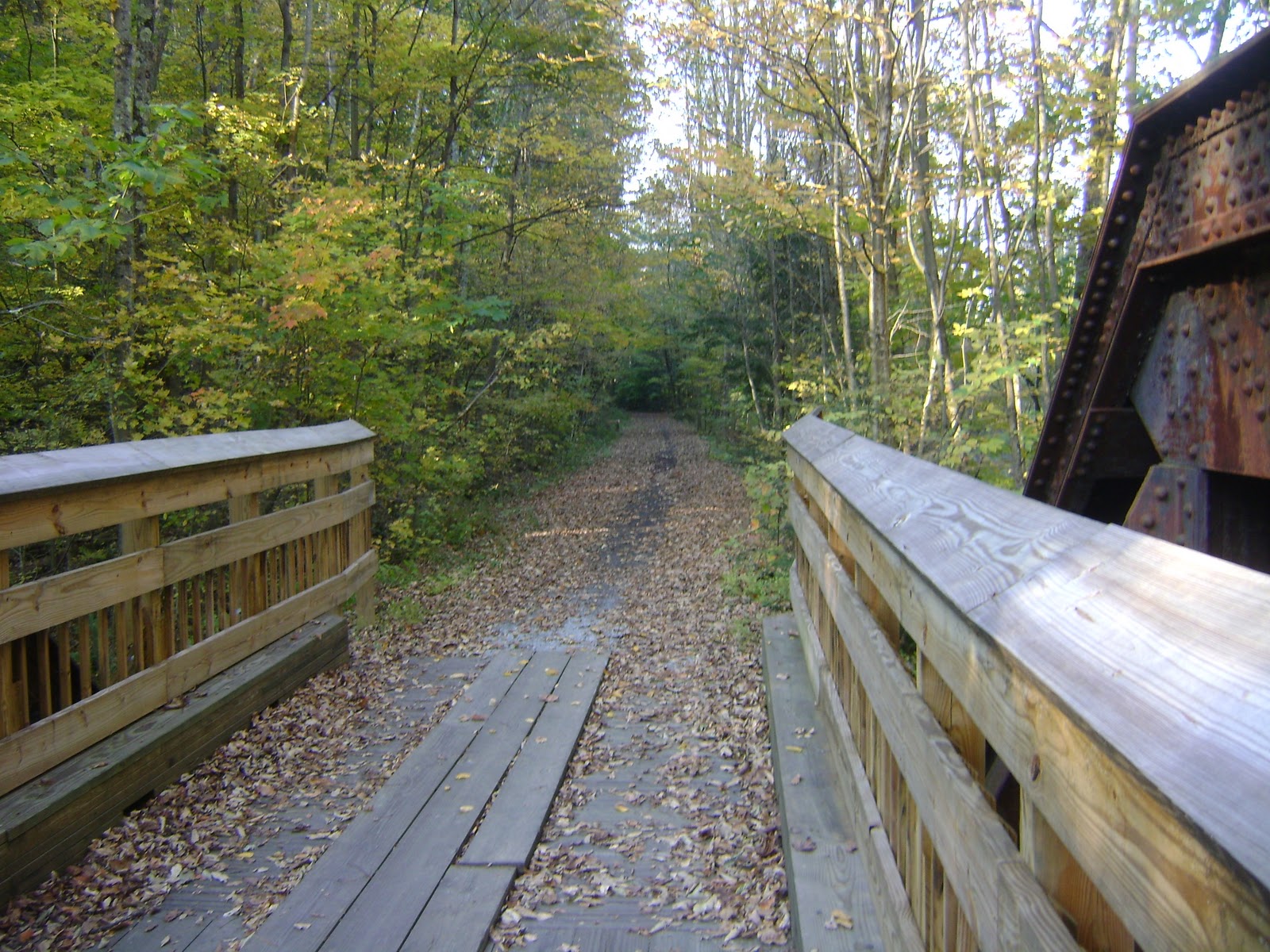 Wayward Goose Farm: The D&H Rail Trail