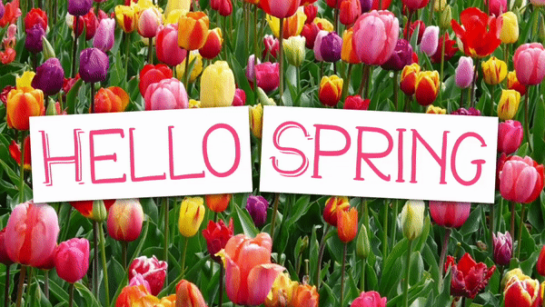 Escuela 23 DE 12. Bienvenidos a Nuestro Blog : Hello Spring!!