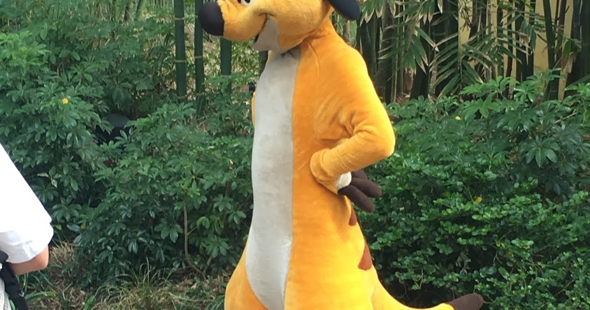 Timon Disney Character Guide