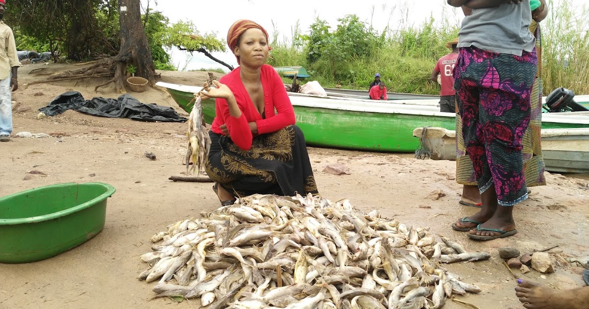 Focus on Development: Fish trading: Women want catch of the day too