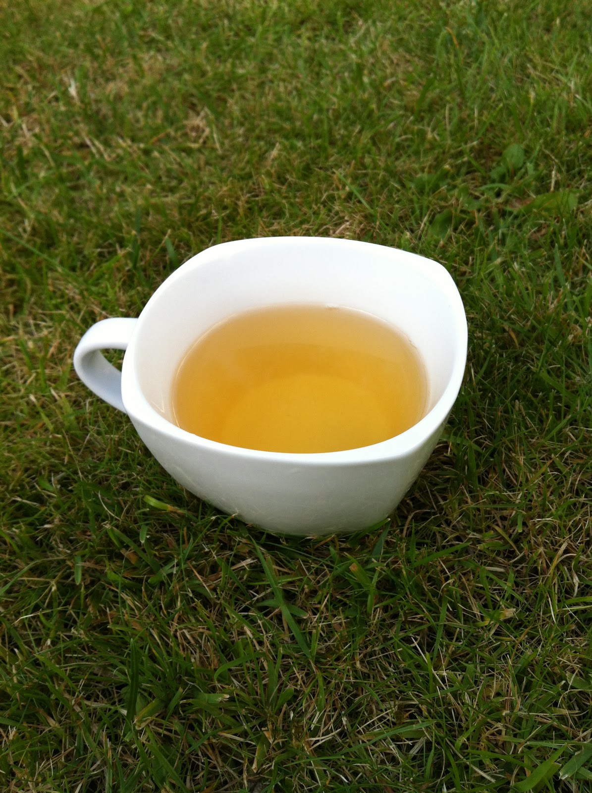 Twinings Darjeeling - First Flush Tea