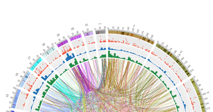 O que é o sequenciamento de DNA | Biomedicina Padrão