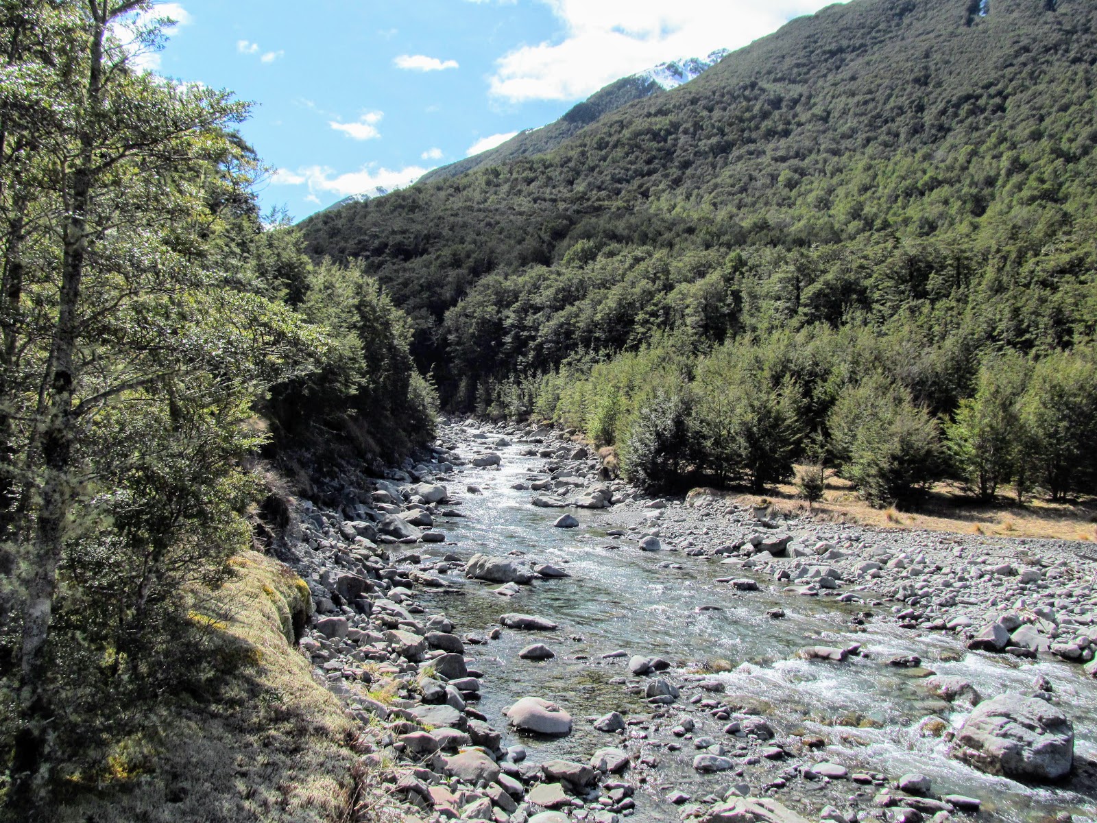 Arthurs Pass Adventures: Tramping in Arthurs Pass National Park: Hawdon ...