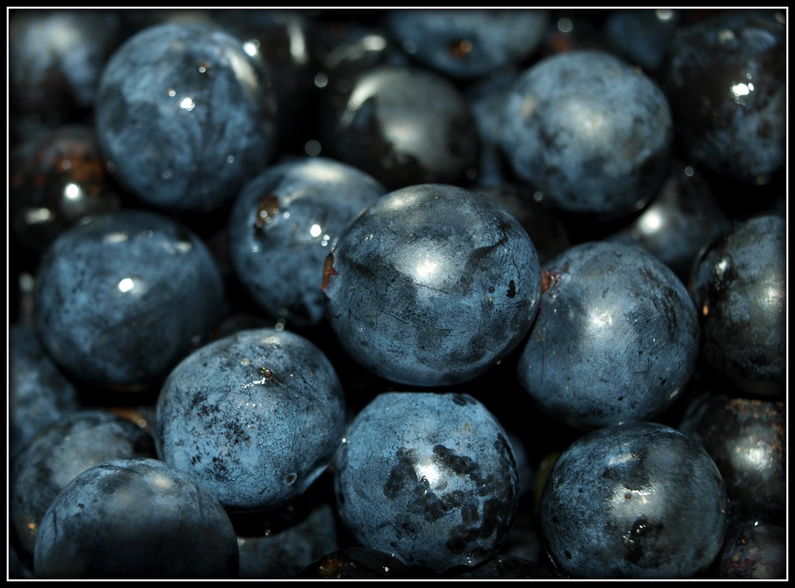 Mark's Veg Plot: Life in the Sloe lane