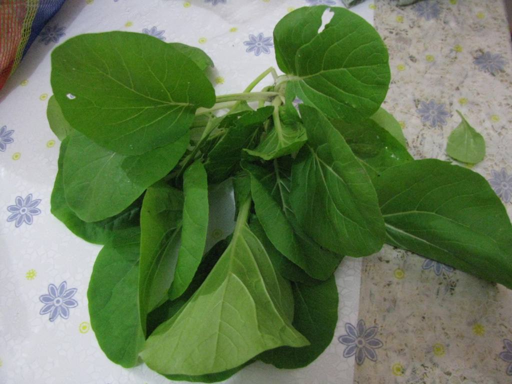 don't just sit there, SEW: oh my pechay...