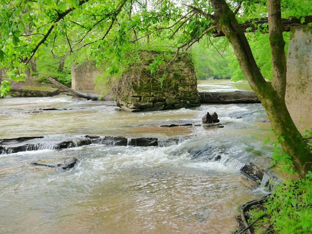 American Travel Journal: Enoree River Shoals - Musgrove Mill State ...