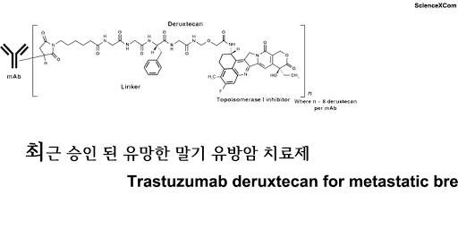 효과 좋은 말기 유방암 신규 항암제 (FDA approves trastuzumab deruxtecan)