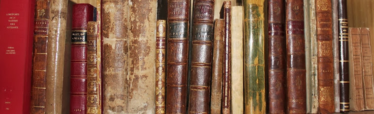 Joseph H. Batty. "Practical Taxidermy and Home Decoration ...