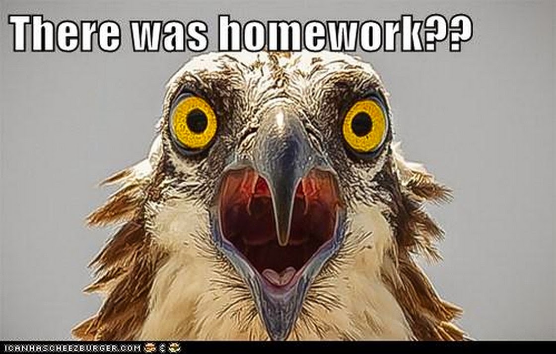 Chuck's Fun Page 2: It's just some random humor from the Internets - 18 ...