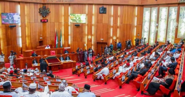 Senate Confirms 42 Ambassadors-Designate, Adjourns Till June 23 | CKN News