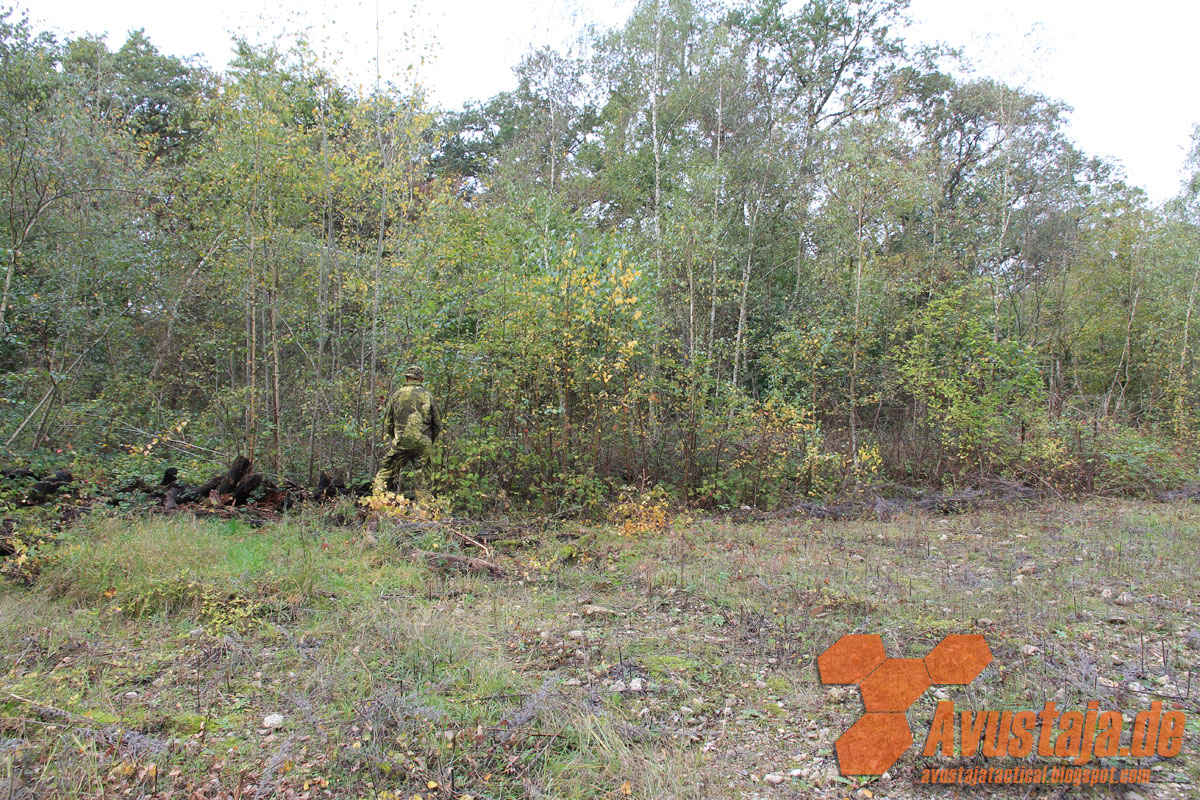 Avustaja Tactical Blog : Phantomleaf WASP II Z3a camouflage