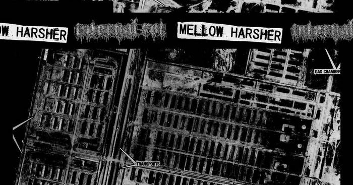 MOSH EISLEY: MELLOW HARSHER / INTERNAL ROT - Split 7"