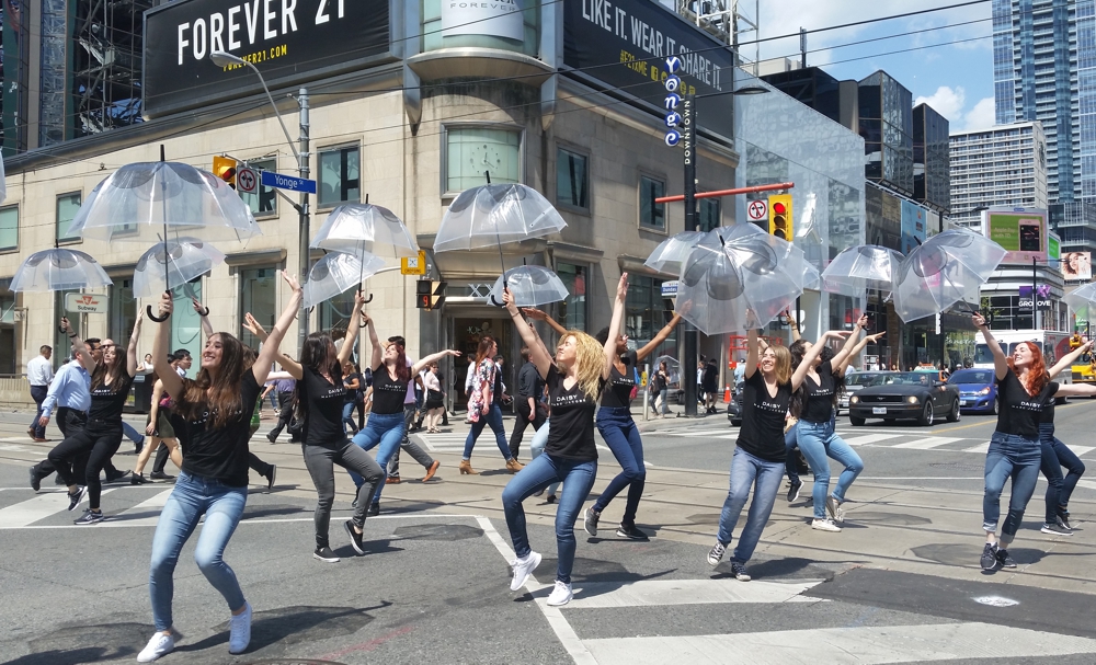 Toronto Grand Prix Tourist - A Toronto Blog: It's a Daisy Flashmob in ...