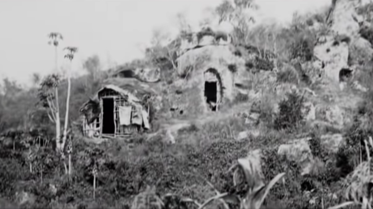 i dì protrar torpidi: gennaio 2021