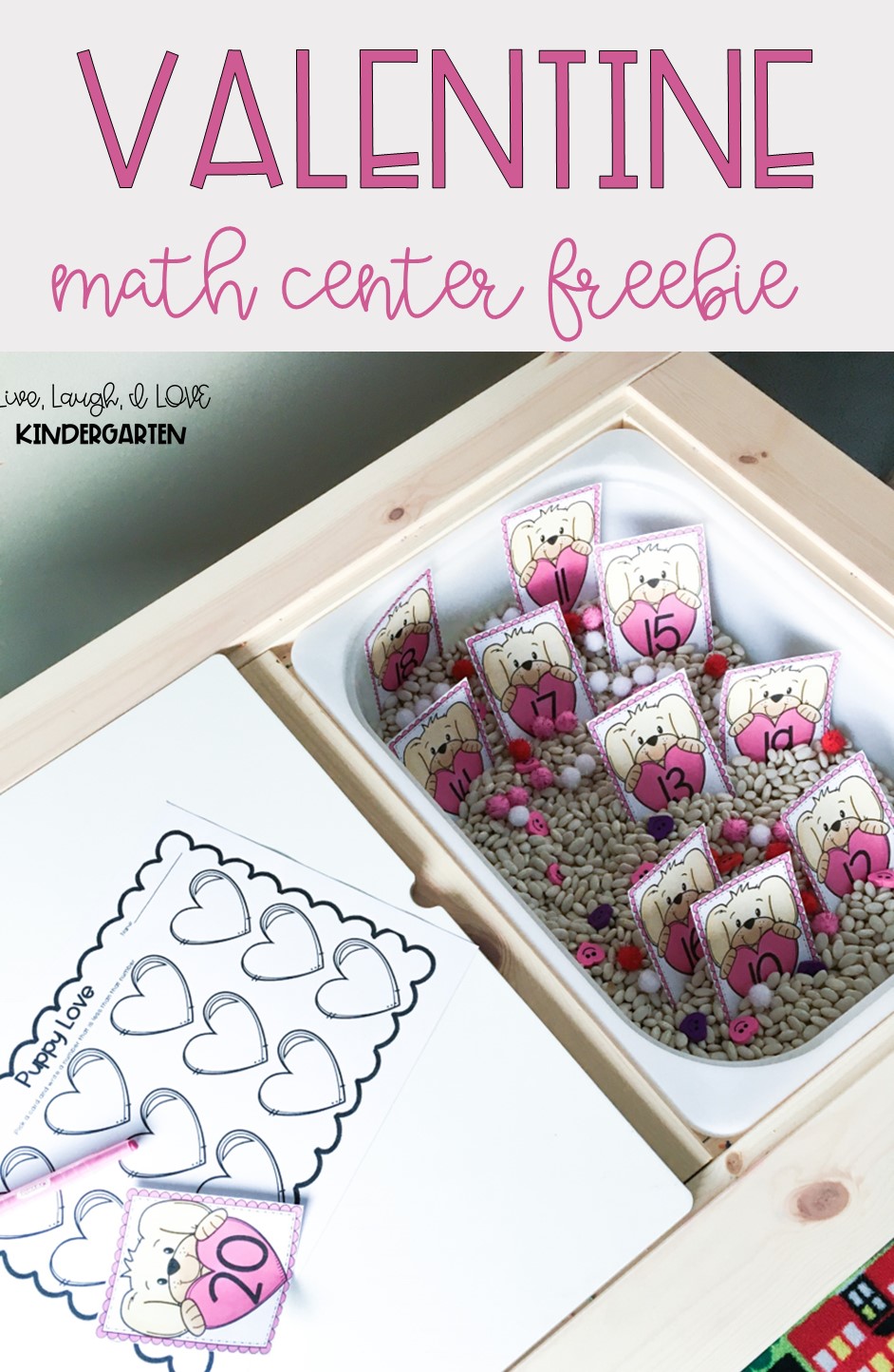 I added some white beans, pom poms, and mini erasers to our bin!