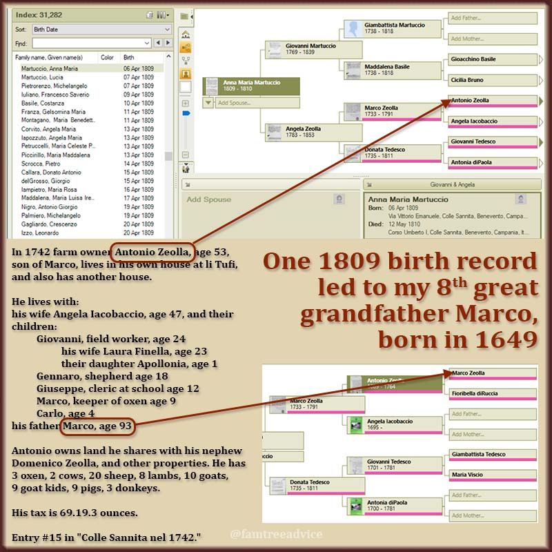 Fortify Your Family Tree: Build a Rock-Solid Family Tree Foundation