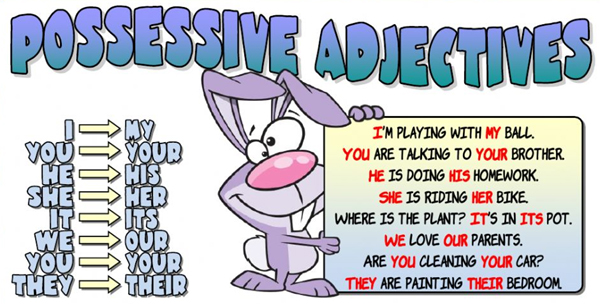 Jolly English: POSSESSIVE ADJECTIVES