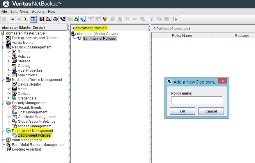Remote Infrastructure Management: Veritas NetBackup Deployment ...