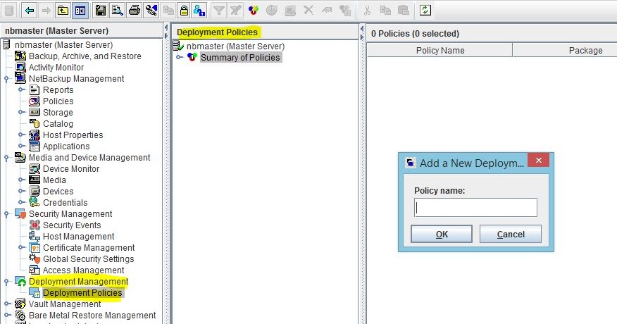Remote Infrastructure Management: Veritas NetBackup Deployment ...