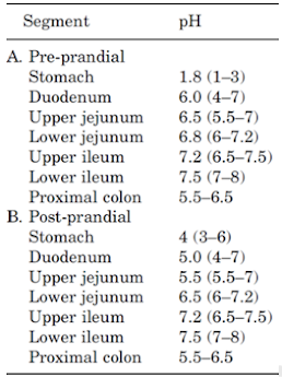 Comparative Dissolution Profile