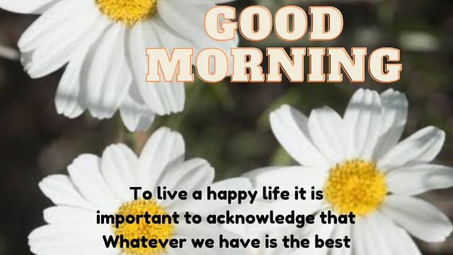27 Special Good Morning Wishes,Thoughtful Good Morning Messages