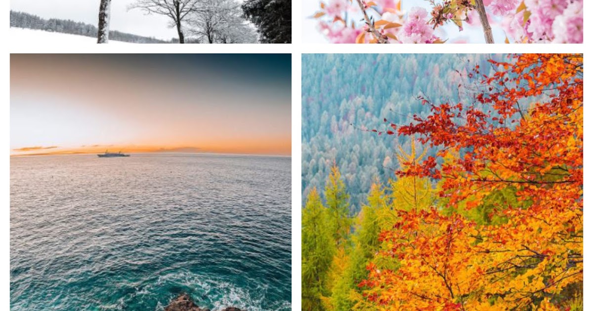 Understanding Seasonal Color Analysis | SheShe and Shimmer