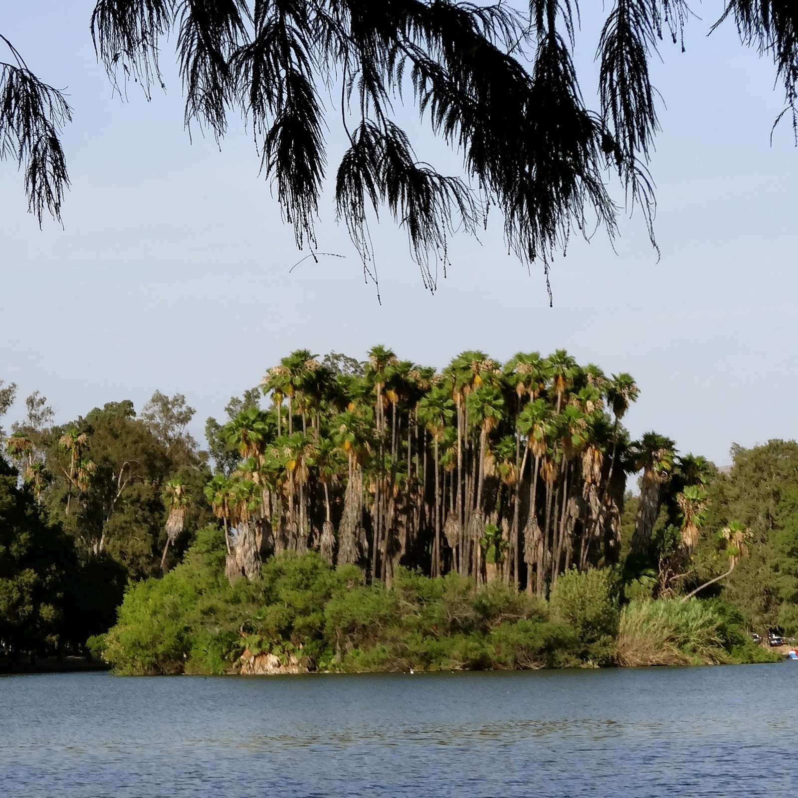 More to Explore: Riverside: Fairmount Park on the 4th