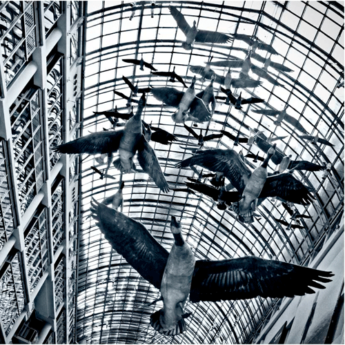 The Little Red Umbrella: Artists You Should Know: Michael Snow by Erika ...