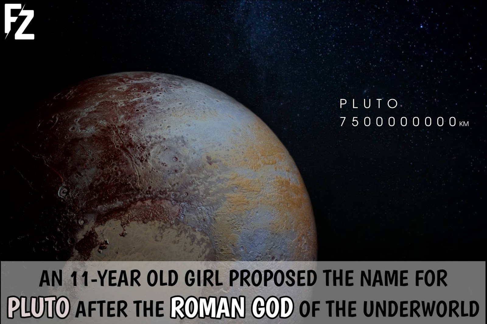 FACT #29 - FACT ZONE