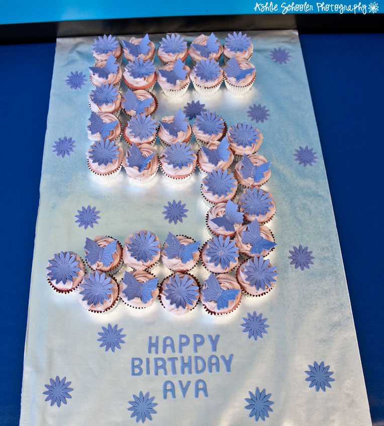 Ashlie Schooler Photography: Happy 5th Birthday Ava!