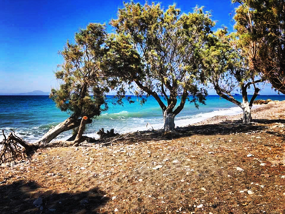 StambeccoMite: Camiro (Grecia)