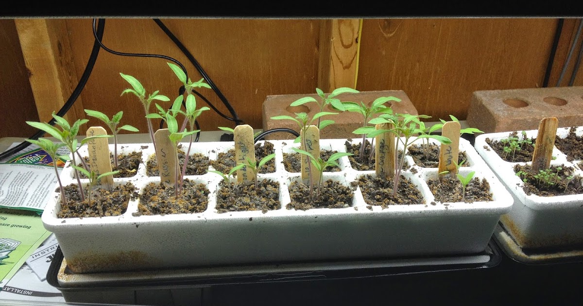 Life with Bethie the Boo: Things I Currently Love