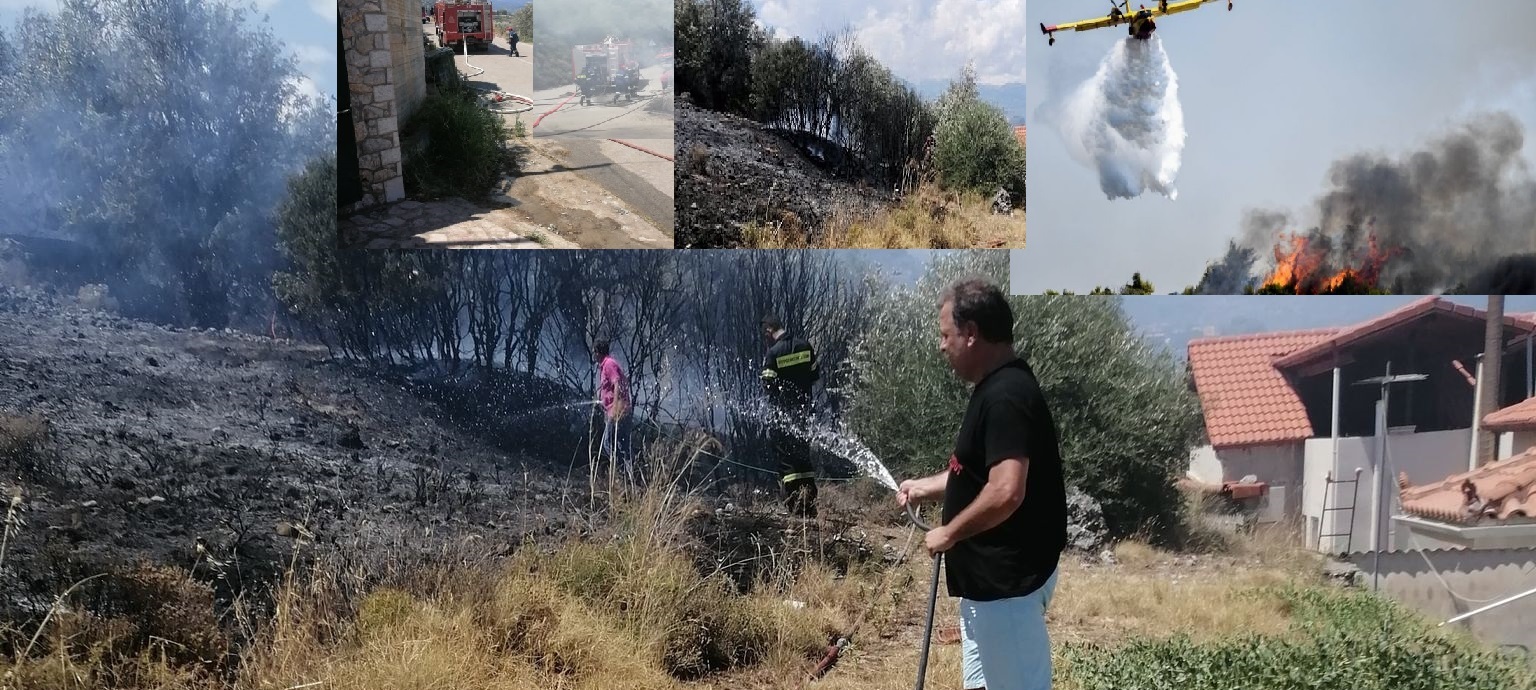 ΦΩΚΙΔΑ TV.GR: Και νέα φωτιά στον Άγιο Κωνσταντίνο Άμφισσας… κινδύνευσαν ...