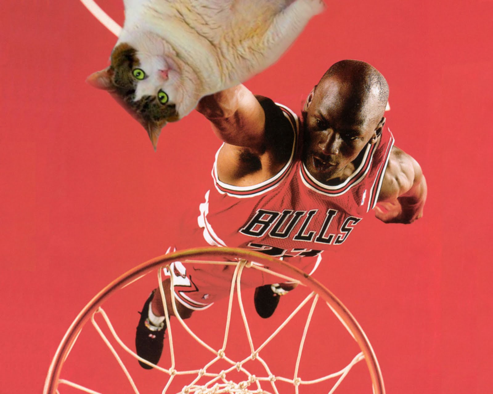 The Legend of Fat Cat