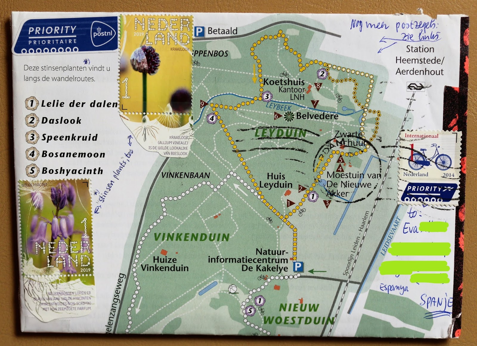 Mail Adventures: Some Maps in the Mailbox