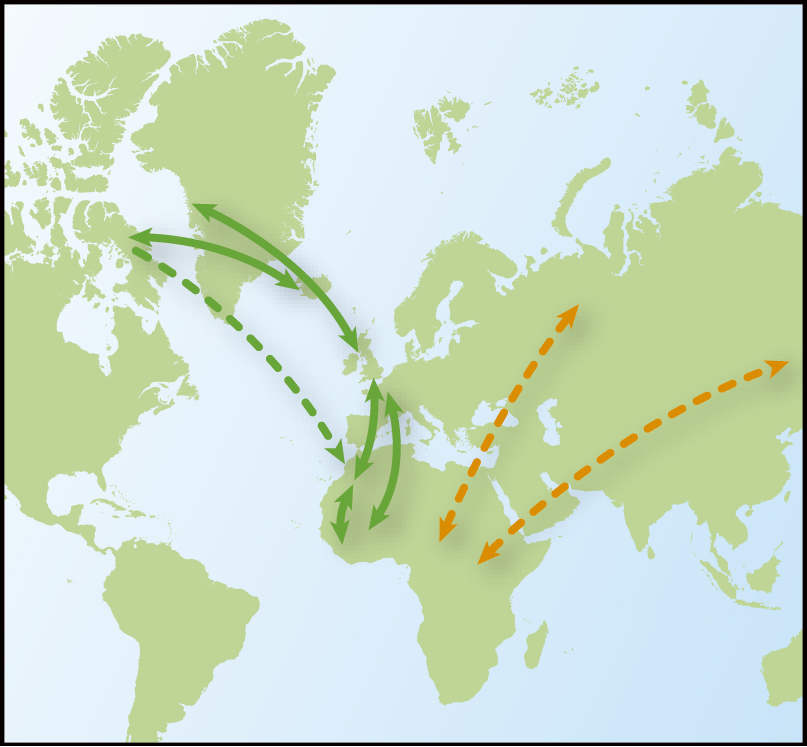 BTO Garden BirdWatch: Wheatears on the move