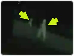 Strange Alien Stick-like creatures caught on security camera above ...