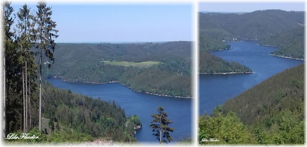 Lila-Flieder-Garten: Hohenwarte-Stausee in Thüringen