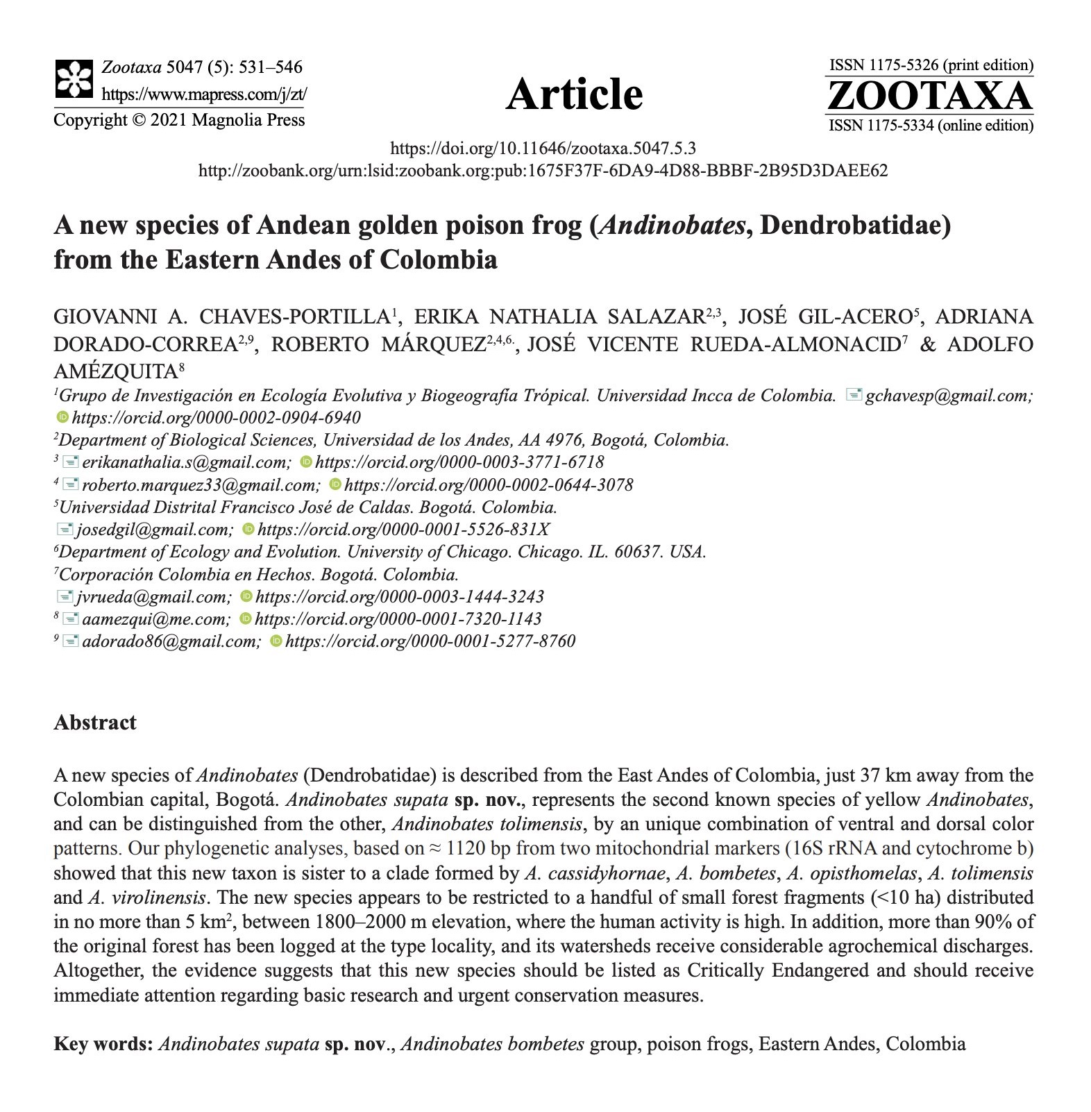 Species New to Science: [Herpetology • 2021] Andinobates supata • A New ...