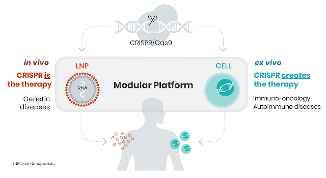 Intellia Therapeutics: Overview of Clinical Stage Pipeline
