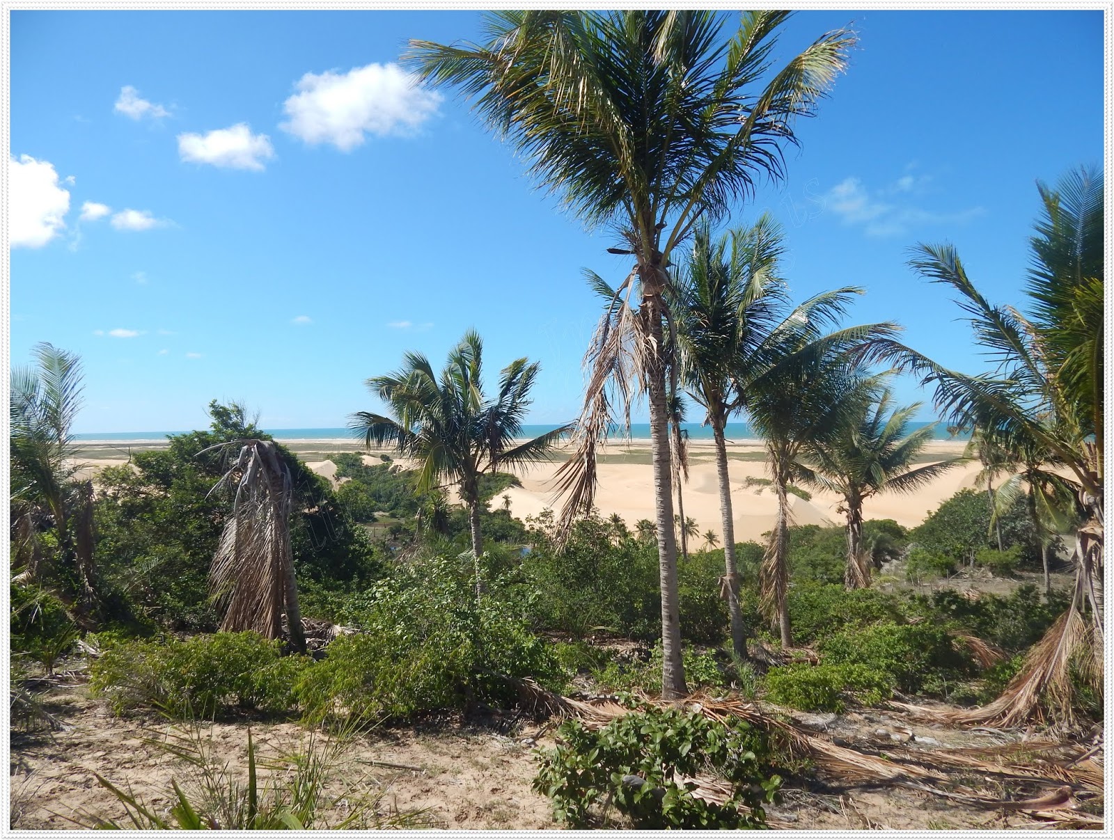 trilha dos invisíveis : Praia de Pirambu - SE